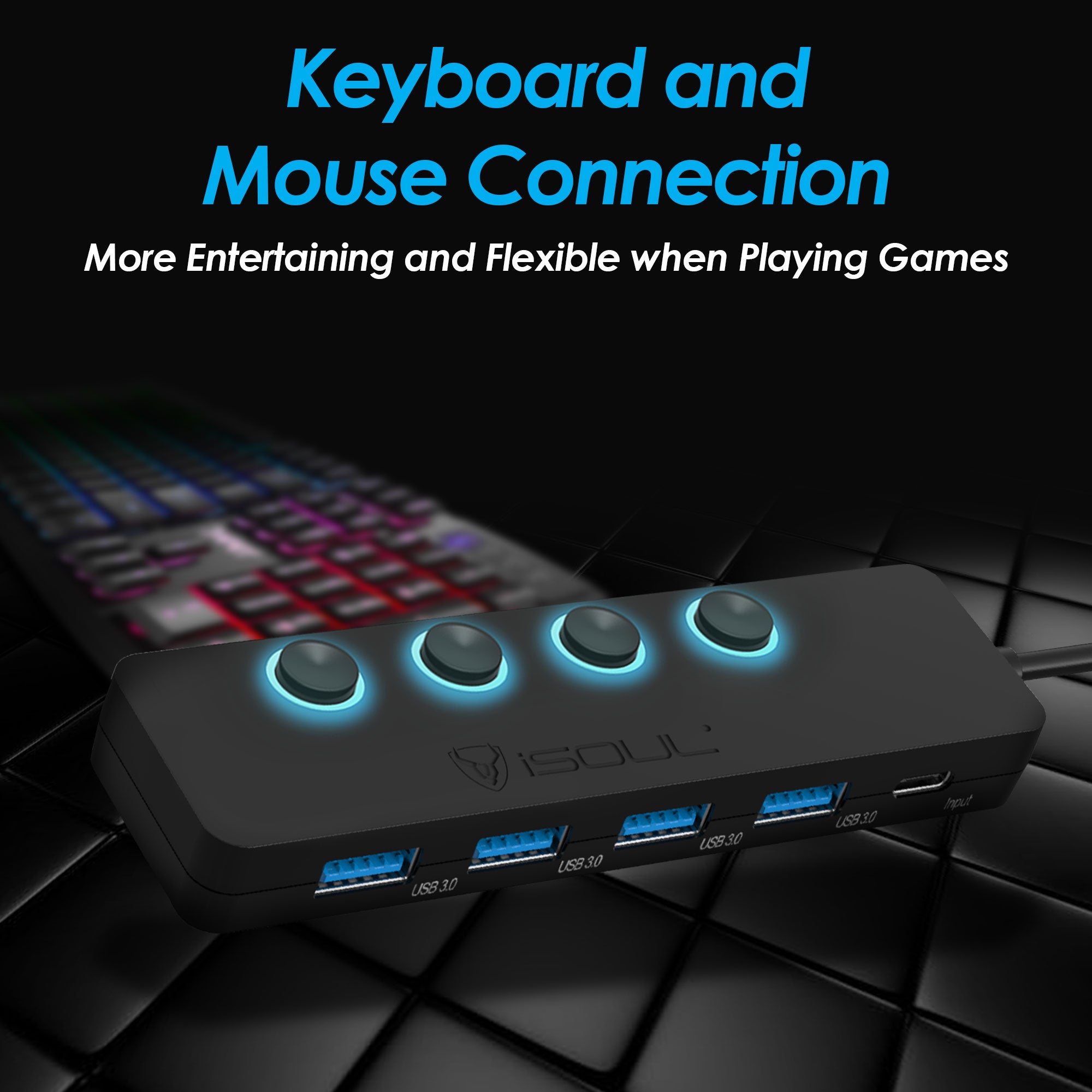 iSOUL 2-in-1 4-Port Ultra Slim USB 3.0 Powered with LED Switches USB-C